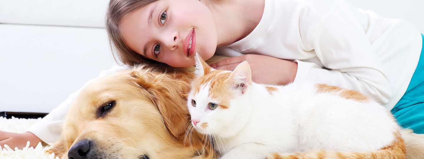Tarifs crémation chien et chat – Anima Care